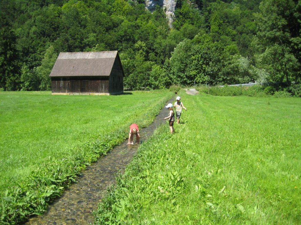 Magental – AlbCloud