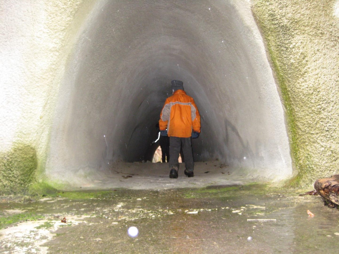 Magental – AlbCloud